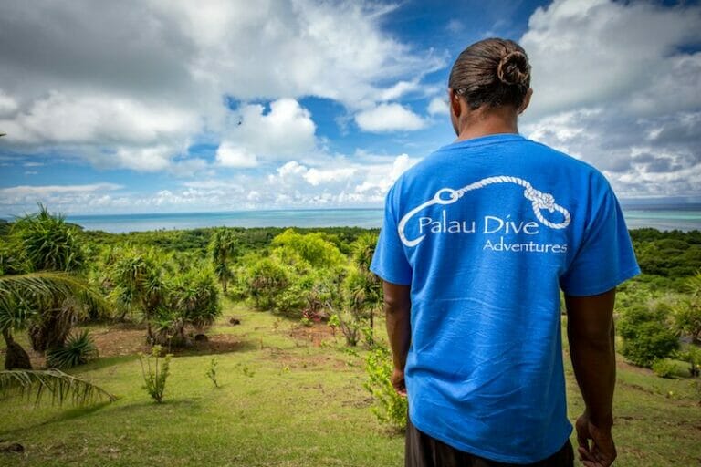 Best Things to Do in Palau: Complete Guide to Islands, Culture ...
