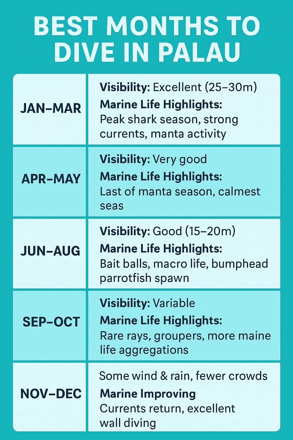 Palau Dive Sites & Conditions Guide | Best Times to Dive
