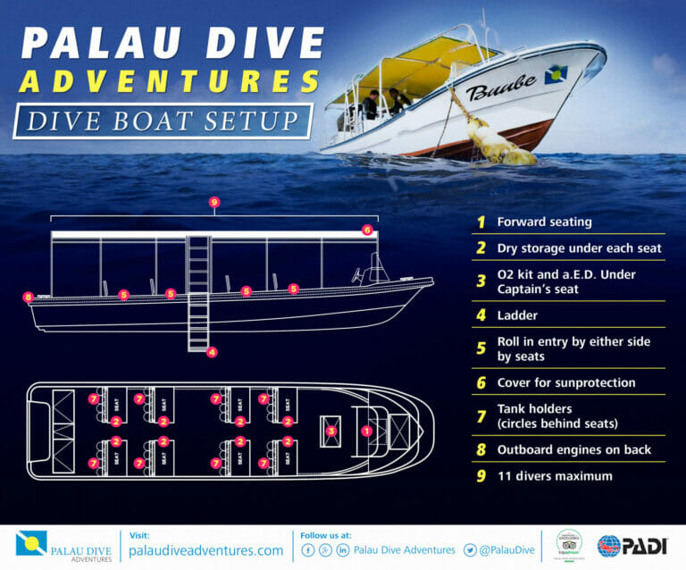 Dive Palau, The Ultimate Guide | Palau Dive Adventures